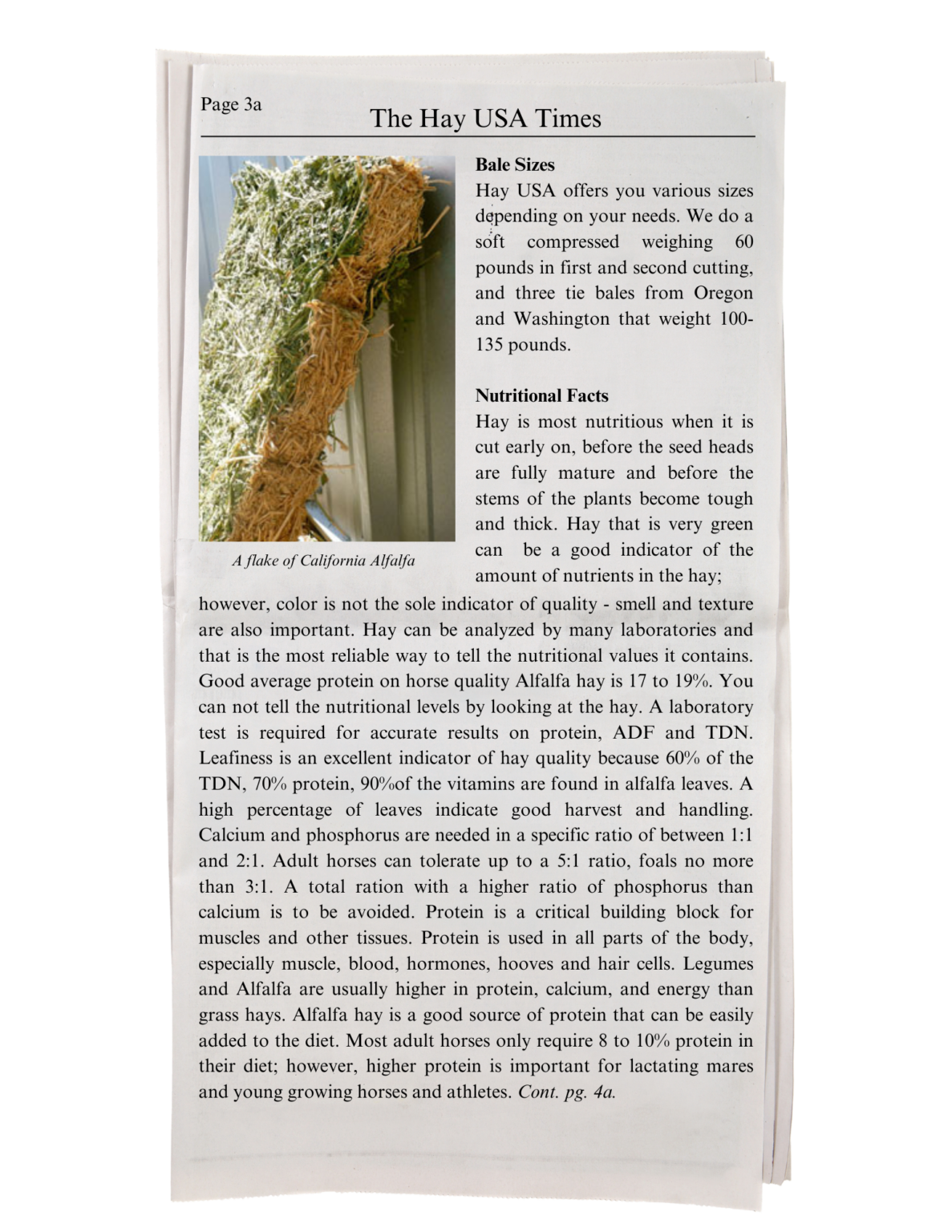 Alfalfa – Welcome To HayUSA