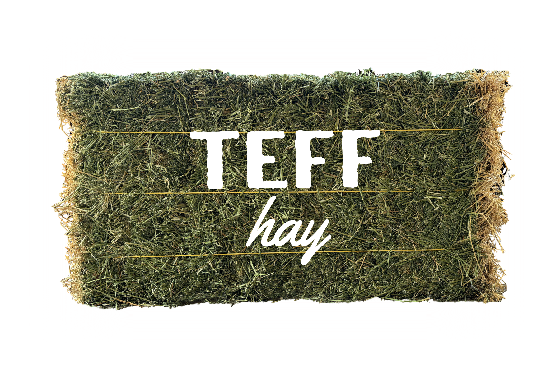 Welcome To HayUSA